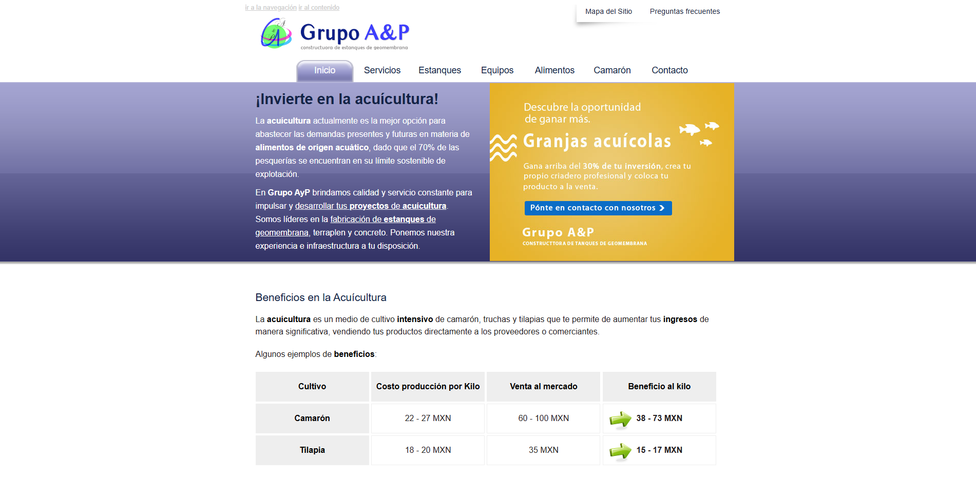 ConsulTIA - Portfolio
